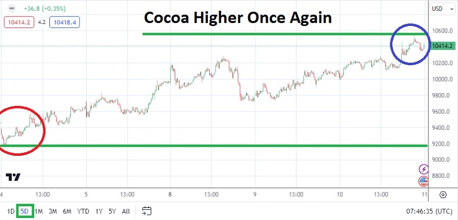 Cocoa Analysis Today - 11/04: Cocoa Hits Record (Chart)