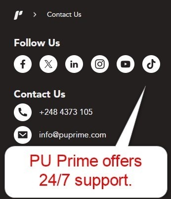 PU Prime Review [year] - Pros & Cons Revealed